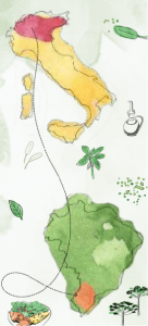 Galeto Di Paolo – Cucina della Serra Gaúcha